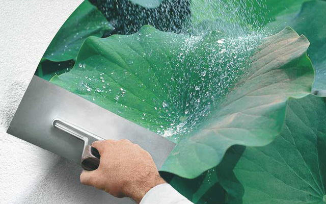 Coatings - Sto Canada